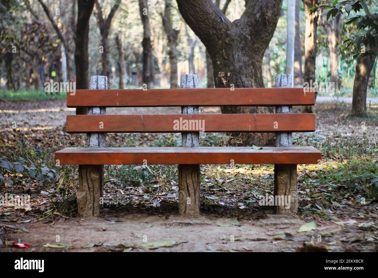 Old Wooden empty Bench in park, front view. Natural background Stock ...