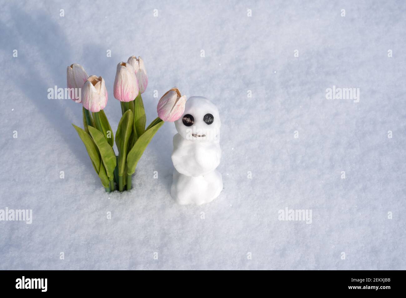 Snowman tulip hi-res stock photography and images - Alamy