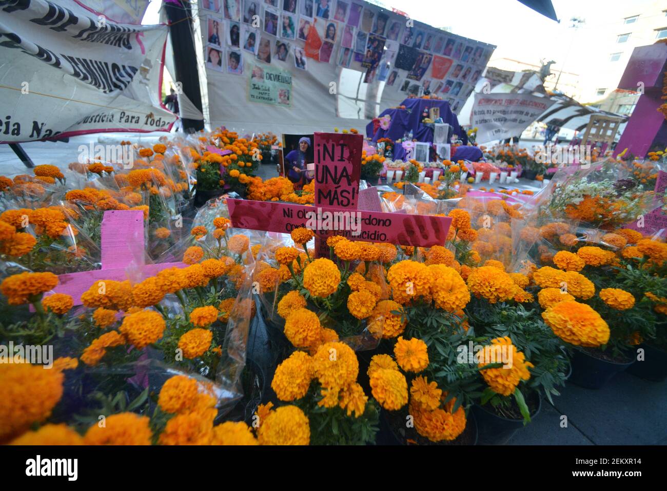 MEXICO CITY, MEXICO - NOVEMBER 2: Gender violence honored with Day of ...