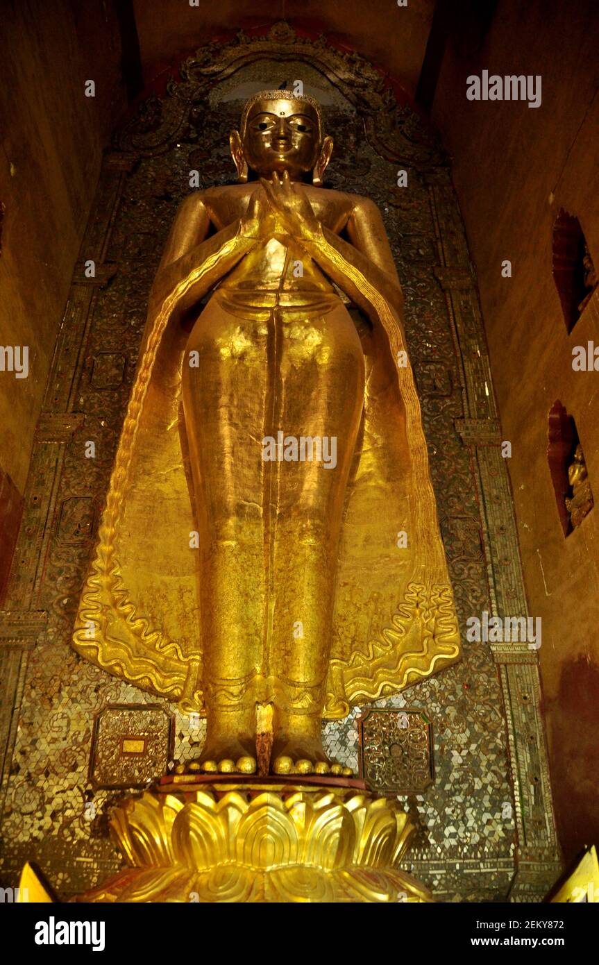 Golden buddha image statue burma style in Ananda paya temple for ...