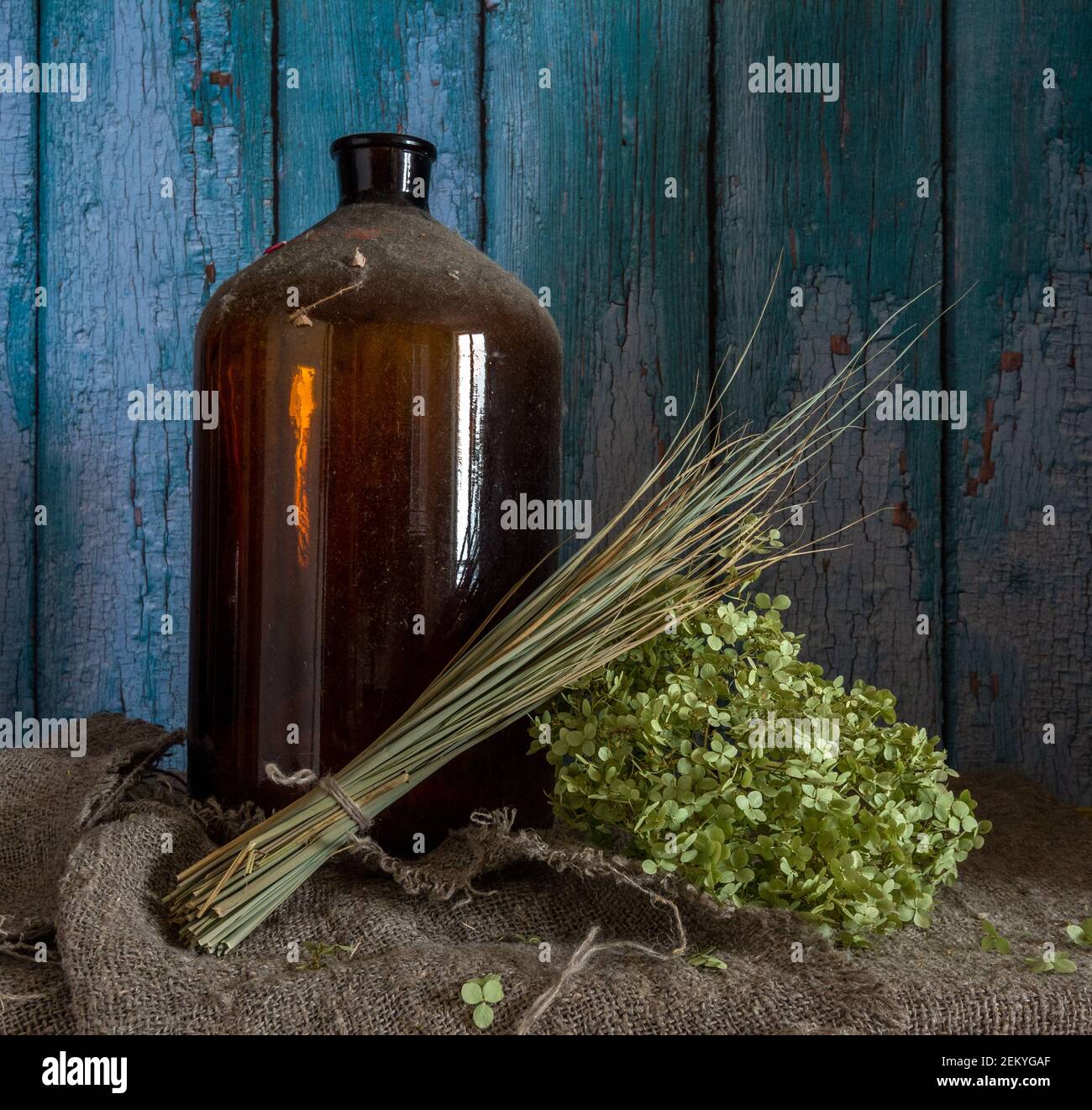 Still life with a large glass bottle and hydrangea flowers. Vintage ...