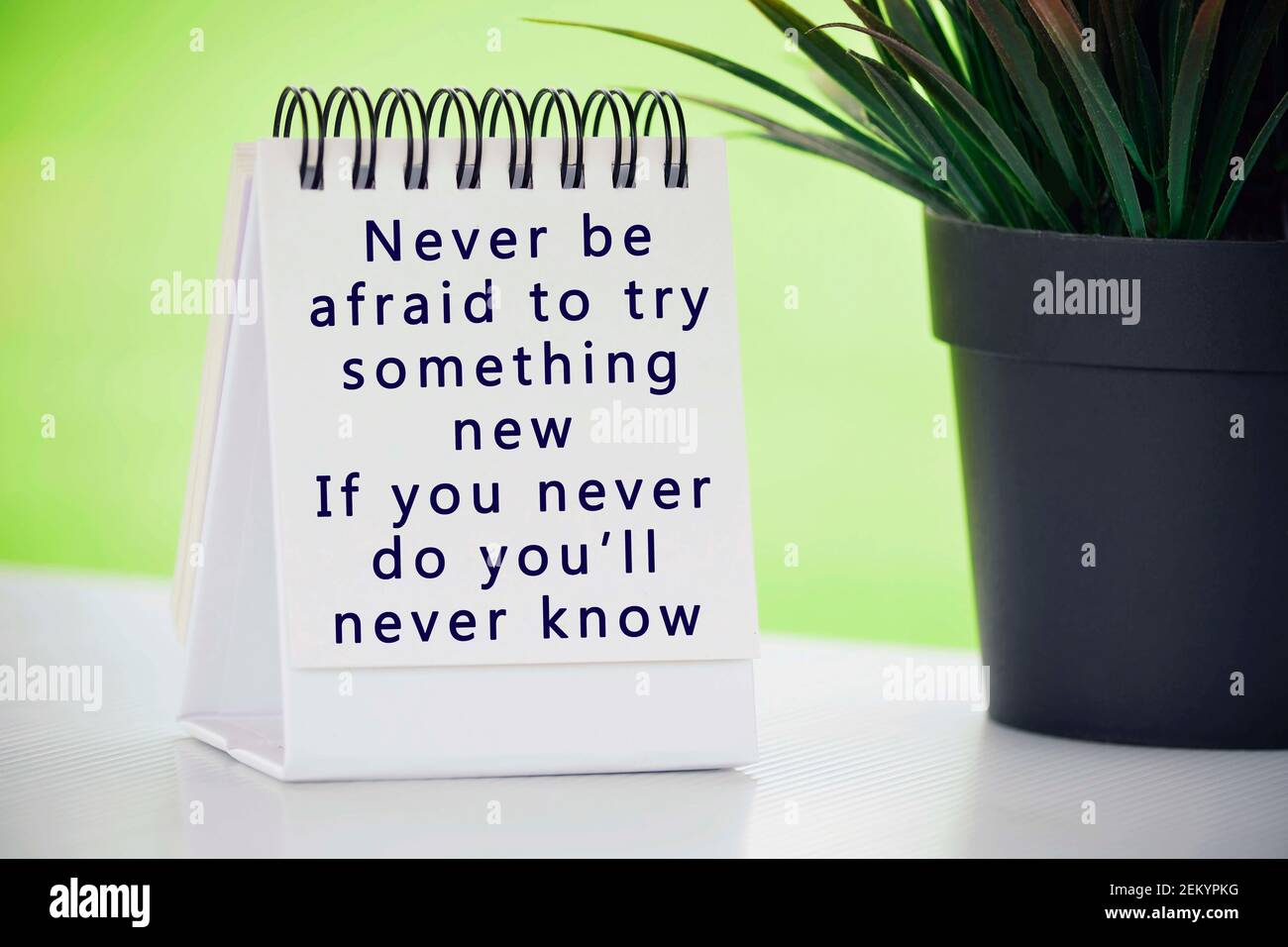 Inspirational quote on paper stand with potted plant and blurred ...