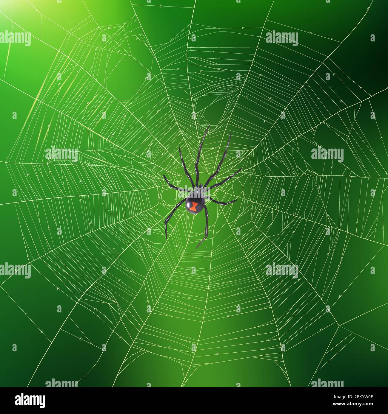 Brightly lit green realistic background with spider weaving its ...