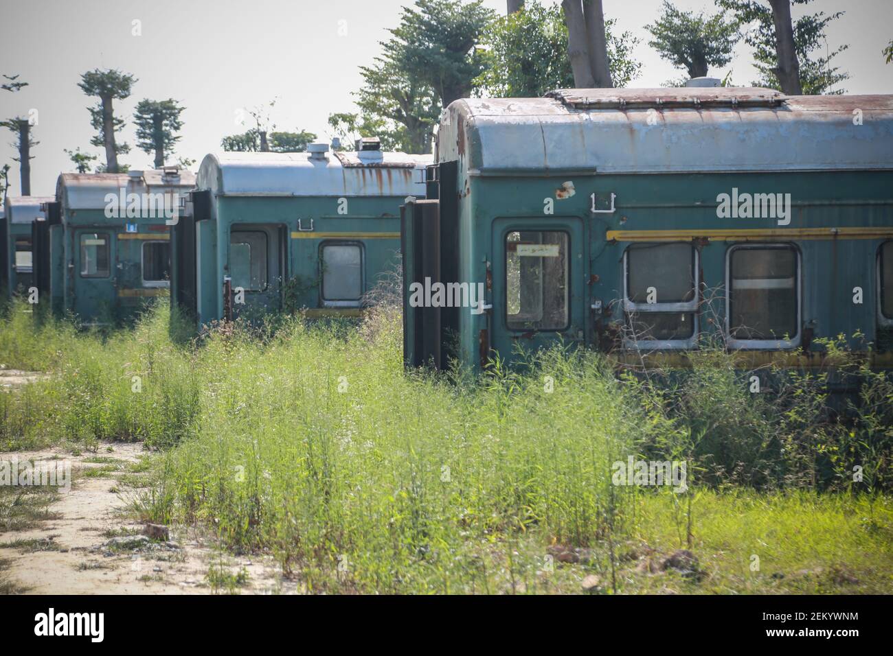 There are piles of abandoned green-skinned trains on the train ...