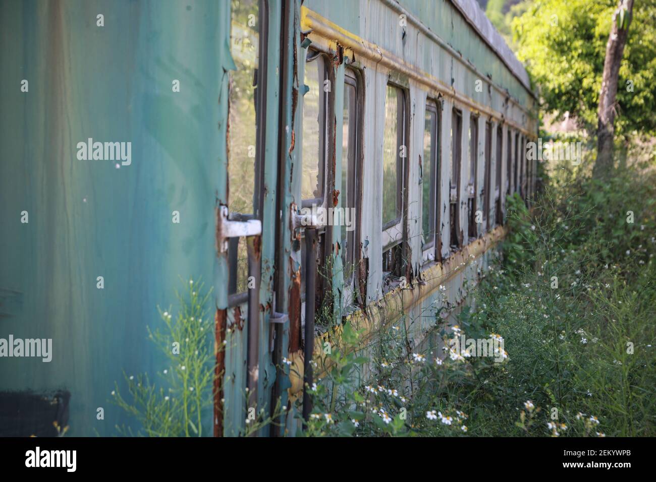 There are piles of abandoned green-skinned trains on the train ...