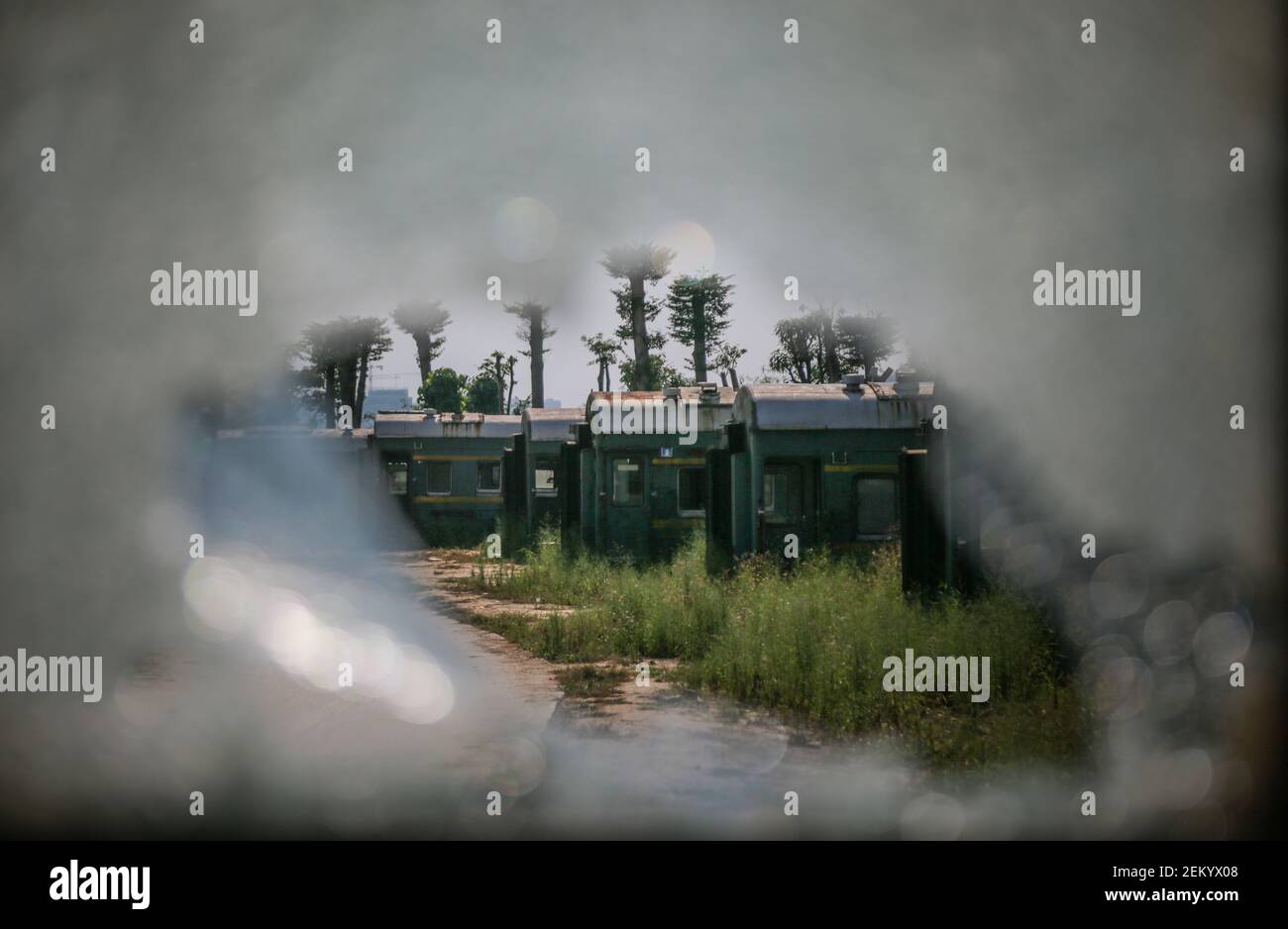 There are piles of abandoned green-skinned trains on the train ...