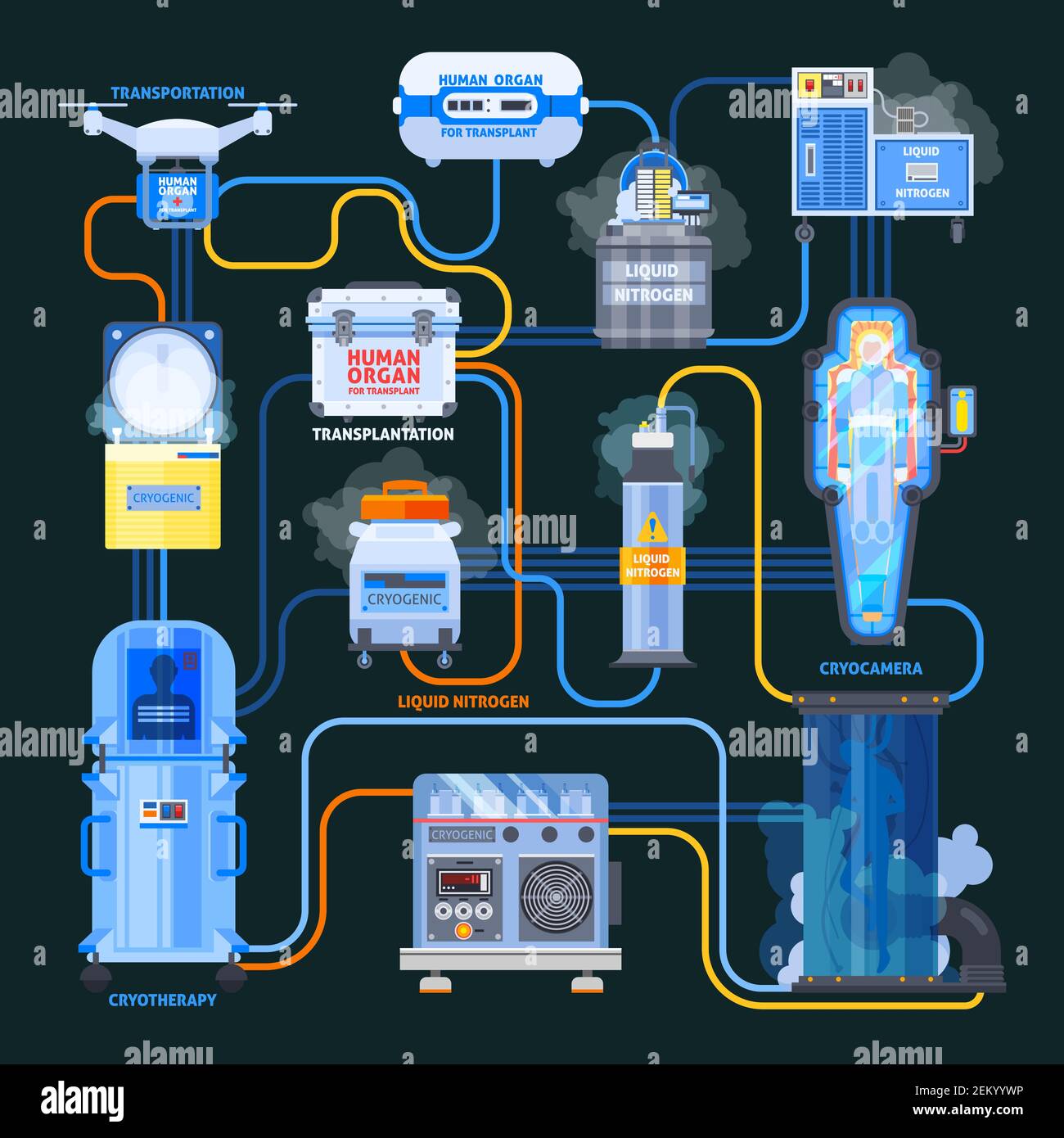 Cryonics flat flowchart, equipment with liquid nitrogen and human ...