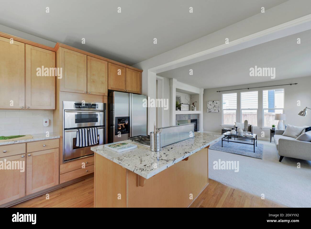 Modern residential kitchen interior Stock Photo - Alamy