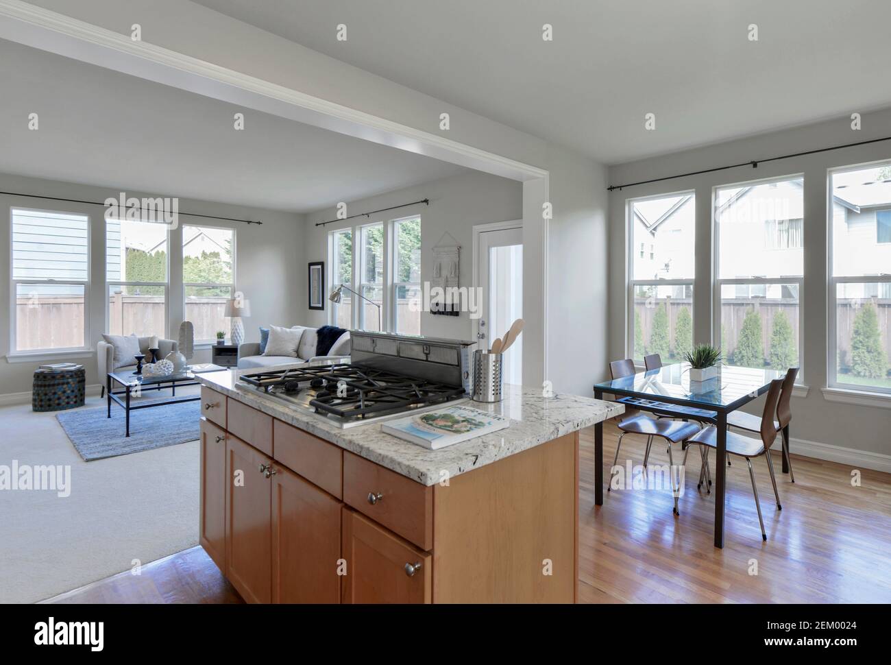 Modern residential kitchen interior Stock Photo - Alamy