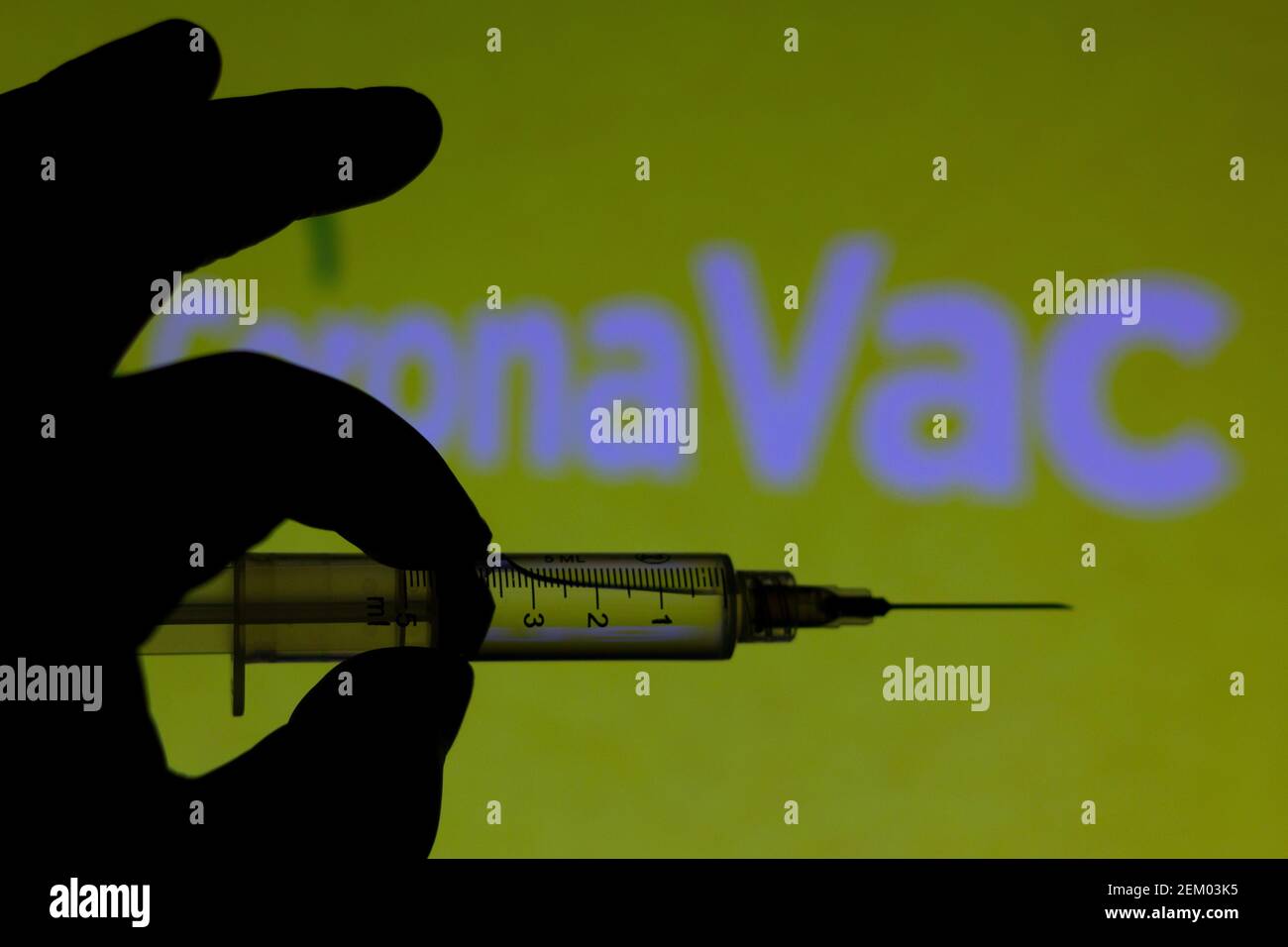 In this photo illustration a medical syringe seen with CoronaVac logo displayed in the ...