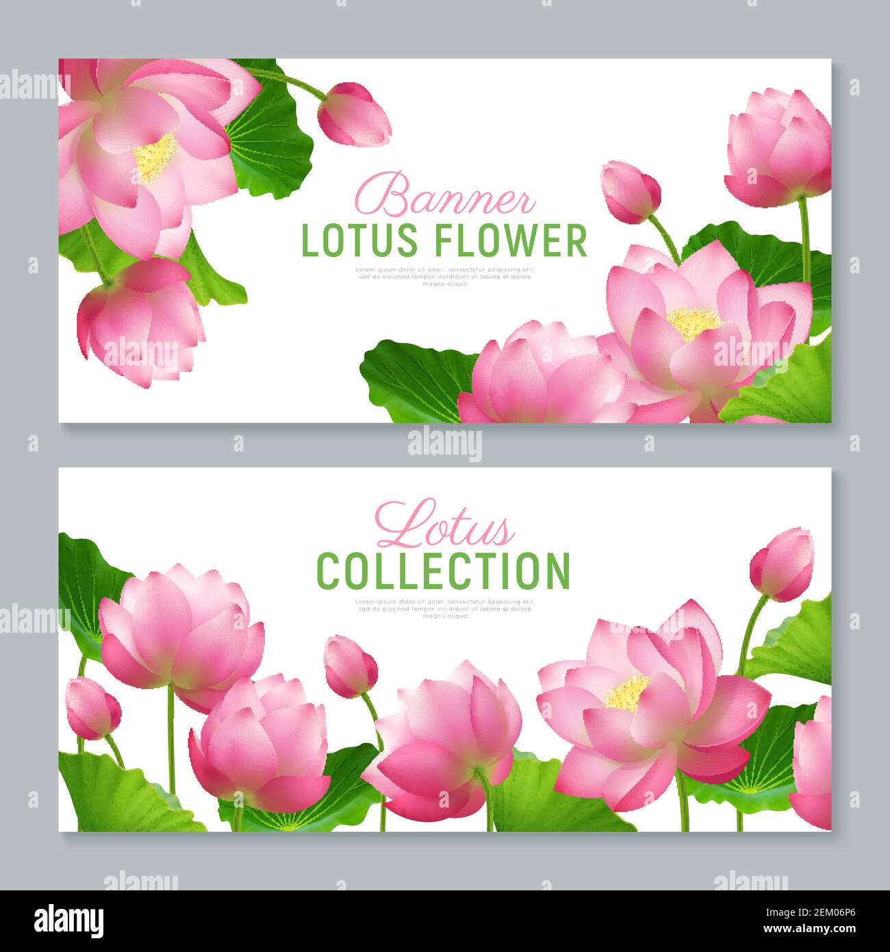 Beautiful realistic lotus flowers collection 2 ornamental horizontal ...