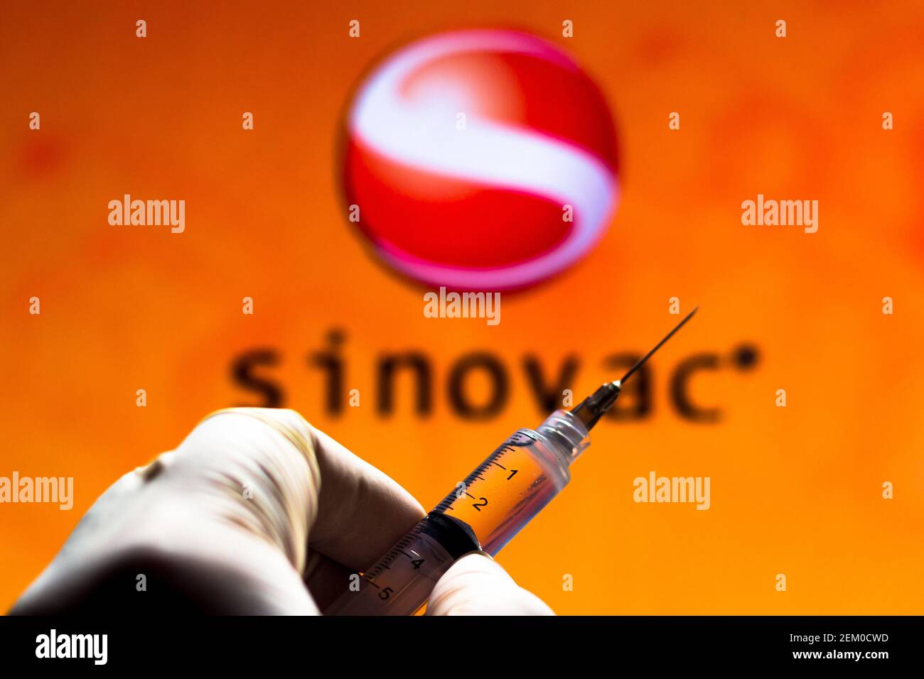 In this photo illustration a medical syringe is seen with Sinovac ...