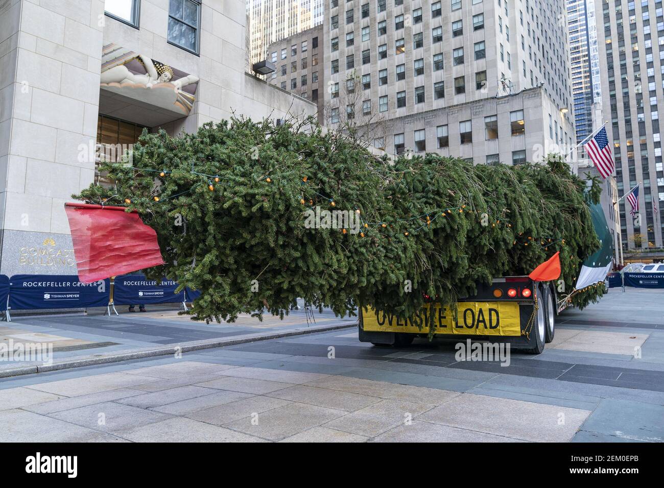 2020 75-foot Rockefeller Center Christmas Norway Spruce Tree from ...