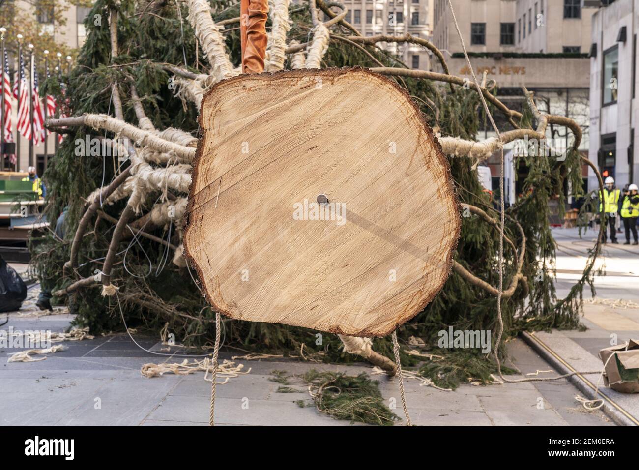 2020 75-foot Rockefeller Center Christmas Norway Spruce Tree from ...