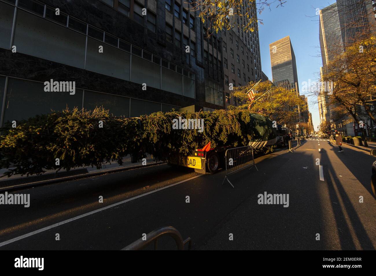 2020 75-foot Rockefeller Center Christmas Norway Spruce Tree from ...
