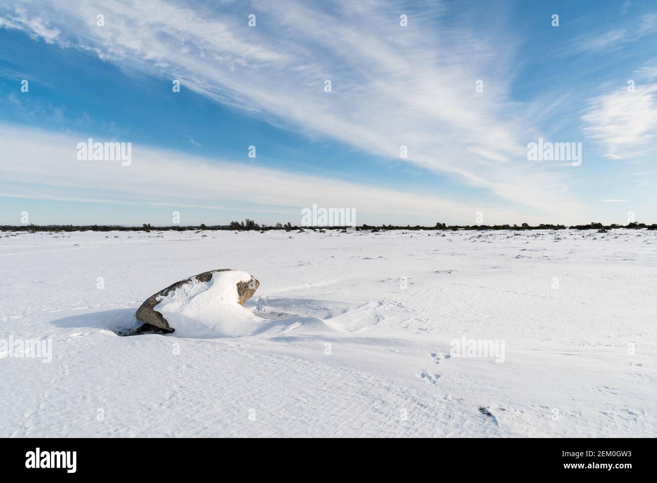 Great Plains Winter Landscape