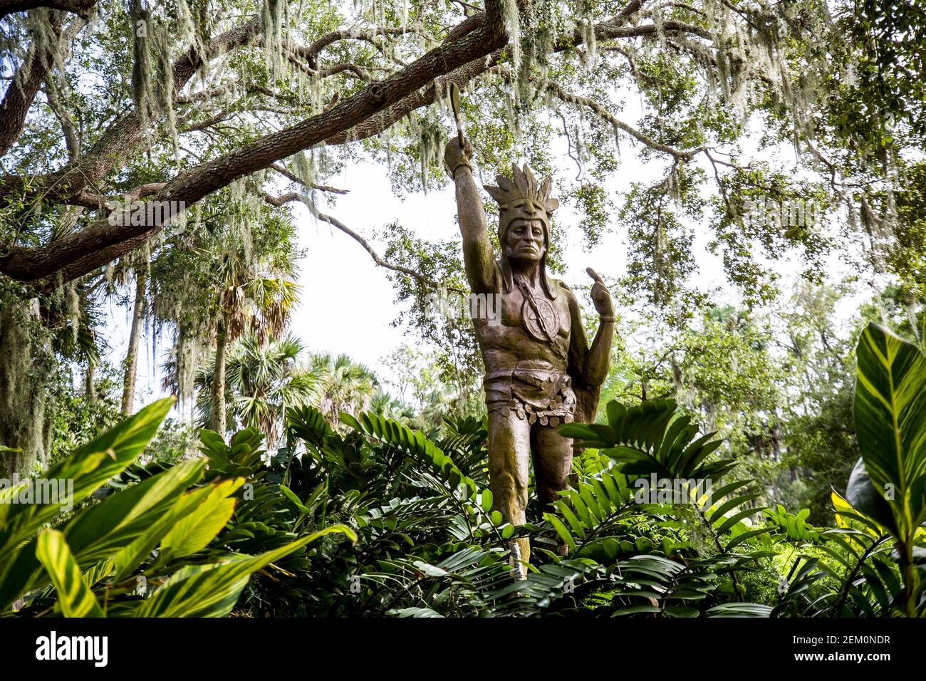 Timucua hi-res stock photography and images - Alamy