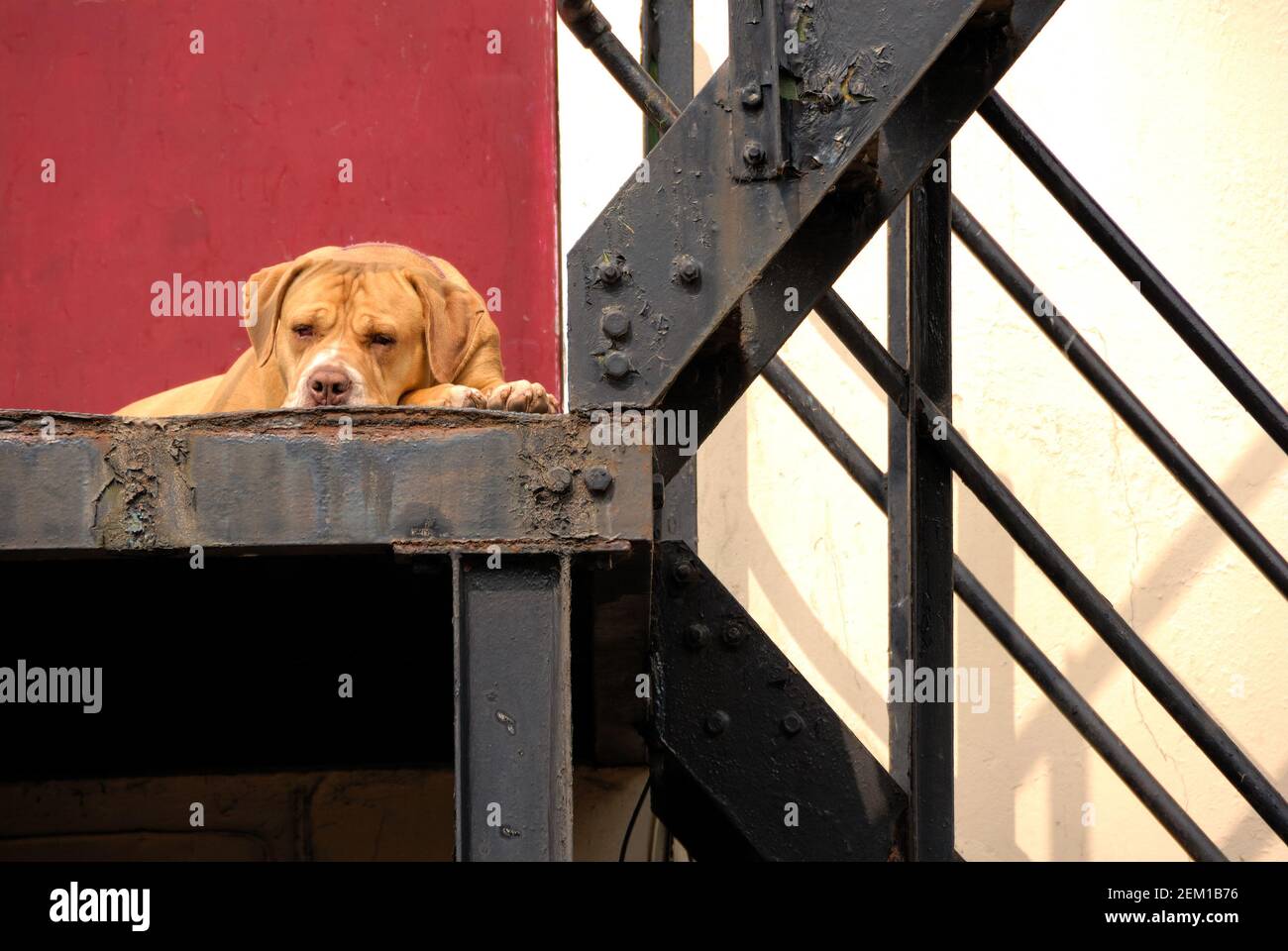 Hotel fire escape stairs hi-res stock photography and images - Alamy