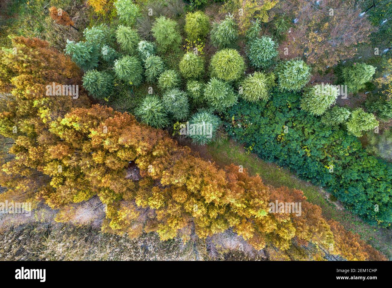 Jiangsu,CHINA-Aerial photo taken on Nov. 19, 2020 shows the colorful ...