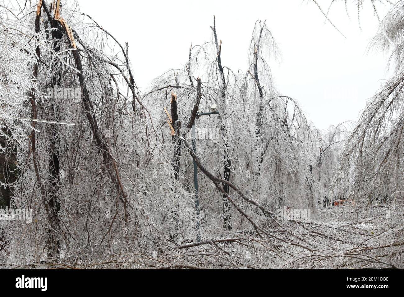 Changchun city encounters extreme weather with rain and snow cooling ...