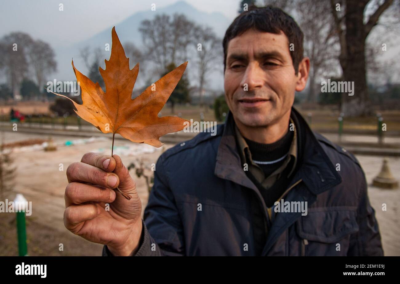Mughal garden srinagar hi-res stock photography and images - Alamy