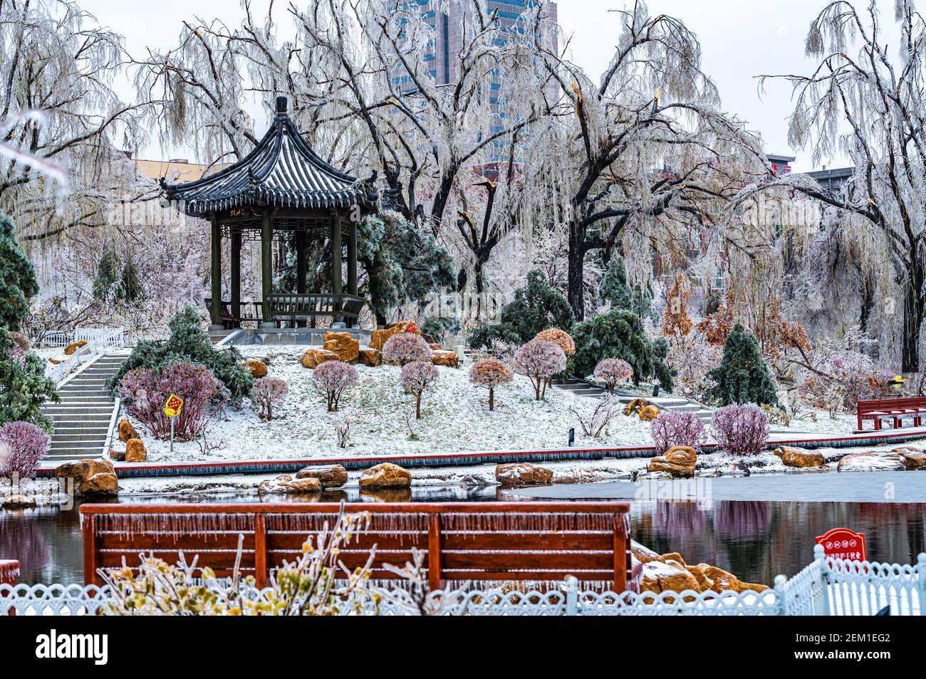 Buildings, vegetation and sculptures are covered with a thin layer of ...