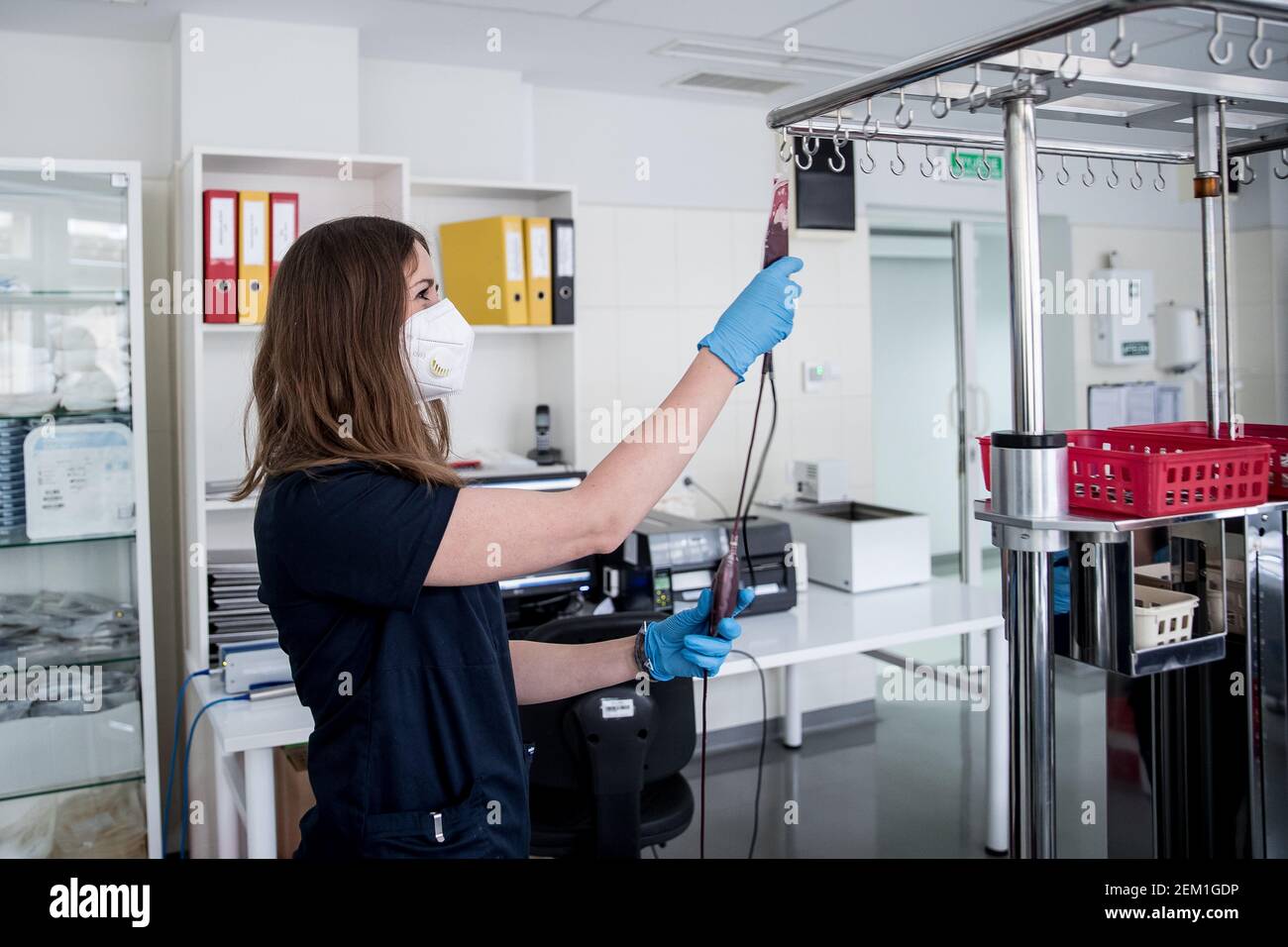 A medical technician at work processing blood plasma from COVID-19 ...