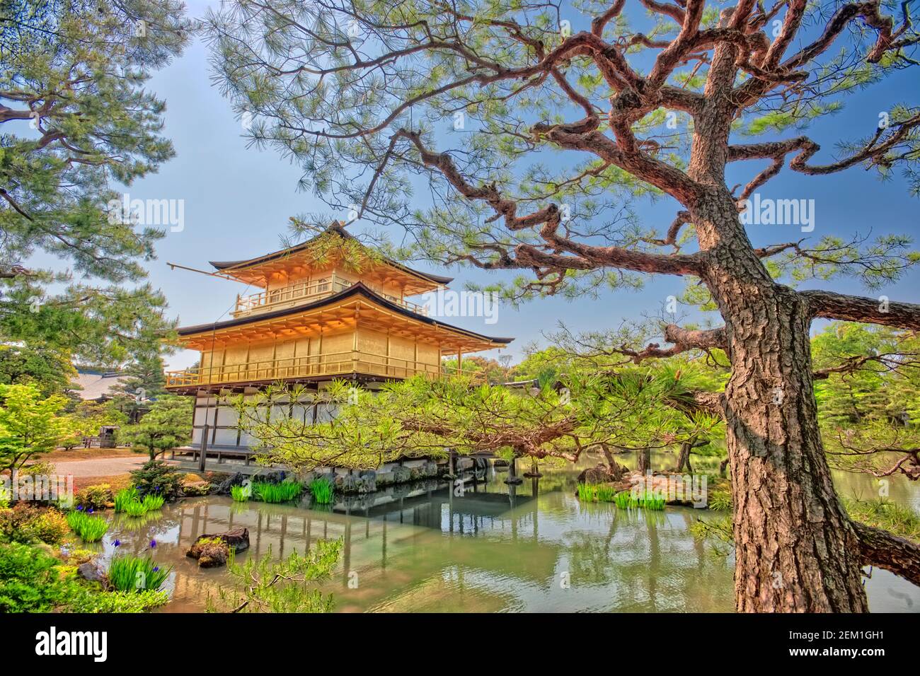 Kyoto golden palace hi-res stock photography and images - Alamy