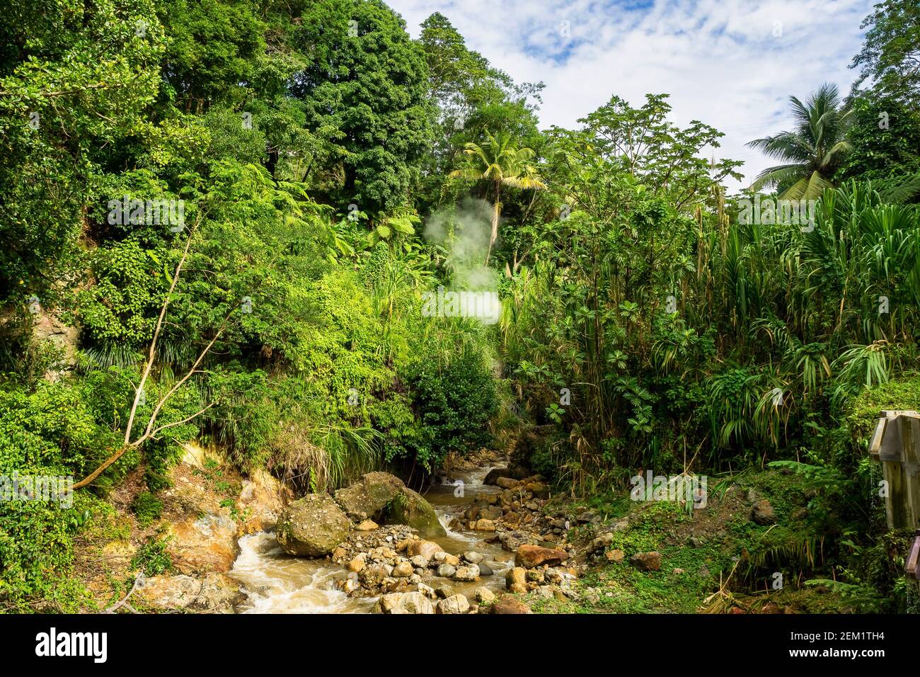 Landscape view on trail to the Trafalgar waterfalls. Morne Trois Pitons ...
