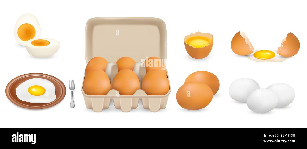 Raw, hard boiled, fried chicken eggs, vector isolated illustration. Whole broken, white yellow ...