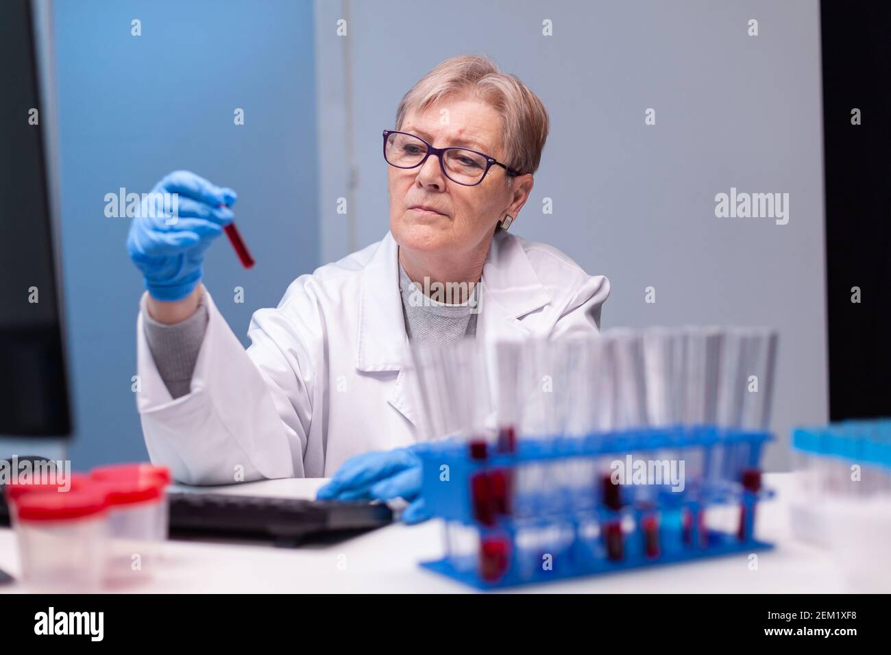 Biotechnologist senior doctor analysing a blood tube for medical ...