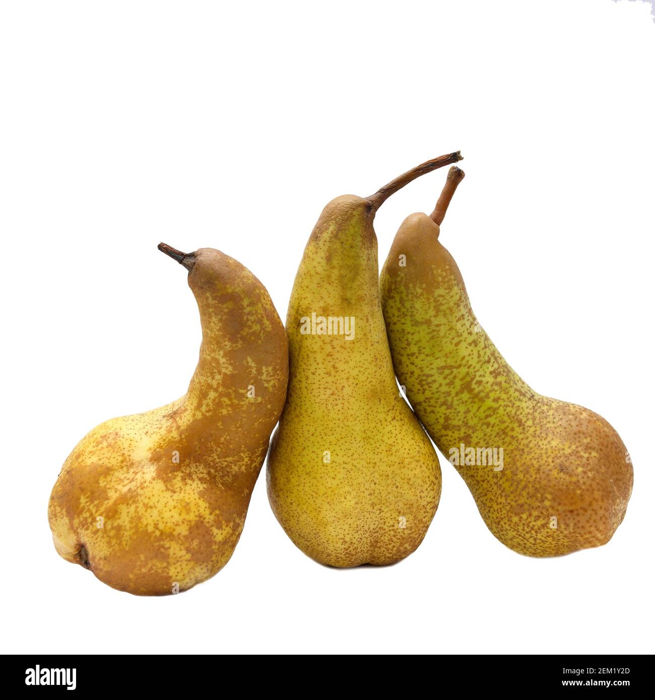 Three pears on white background Stock Photo - Alamy