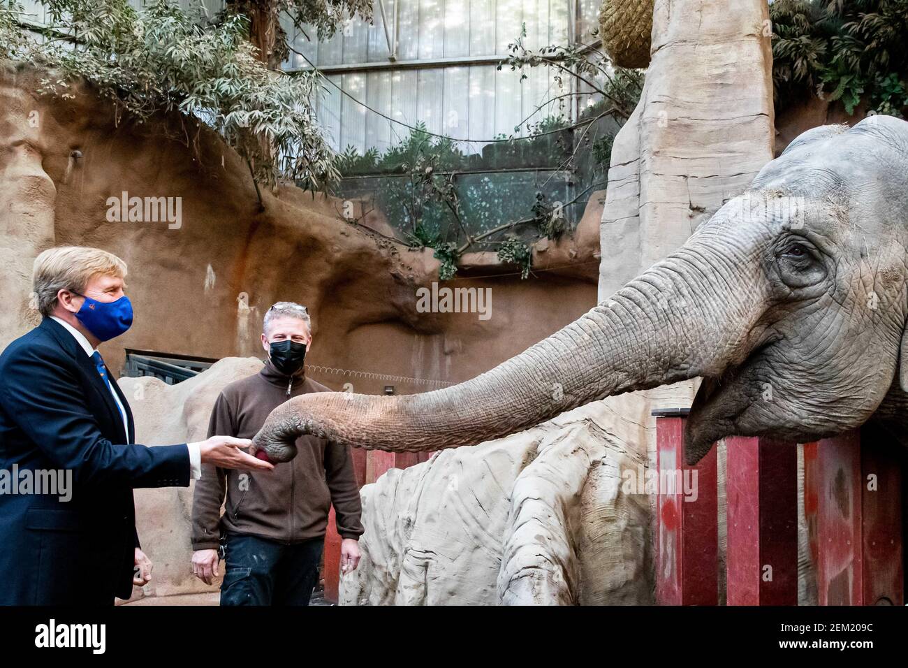 King Willem Alexander during a visit to Blijdorp Zoo. The visit focused ...