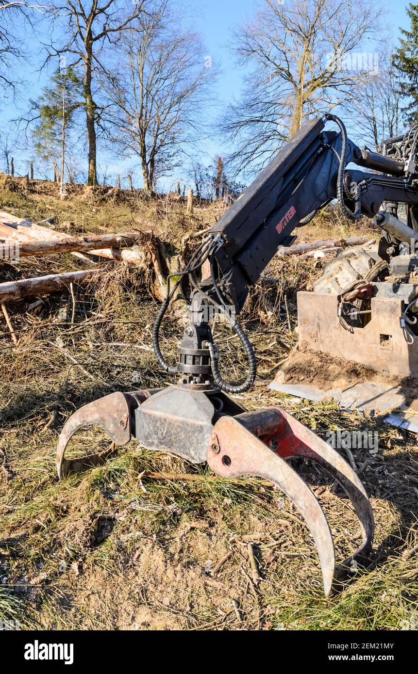 Logging Equipment Names