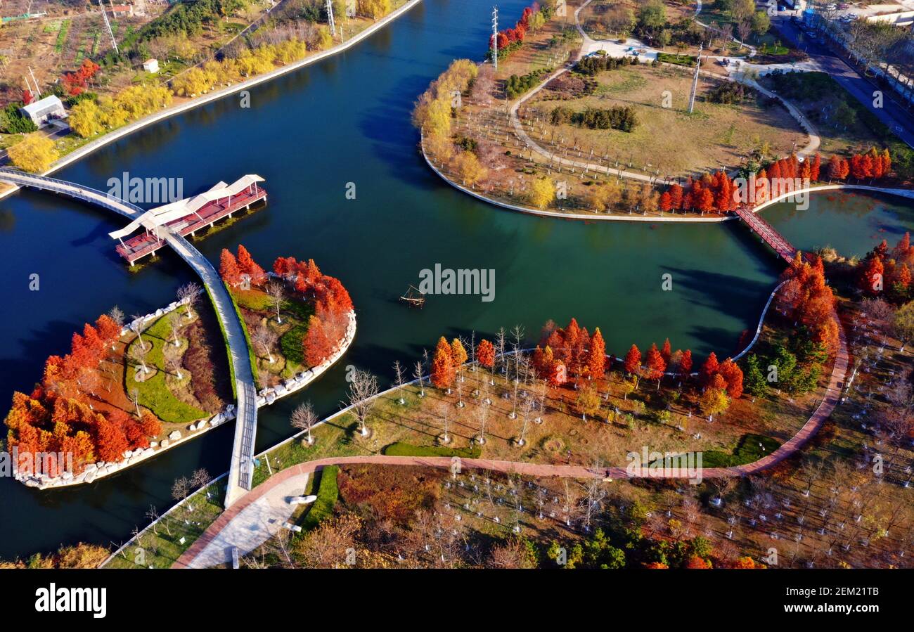 Shandong, CHINA-Early winter is the best time to appreciate the ...