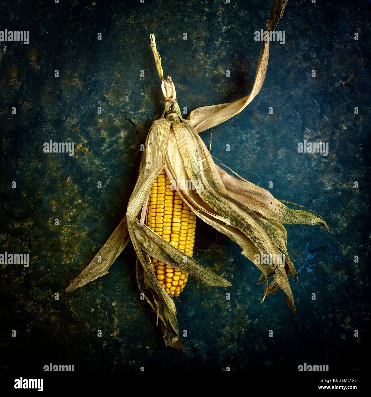 Corn on the cob Stock Photo - Alamy