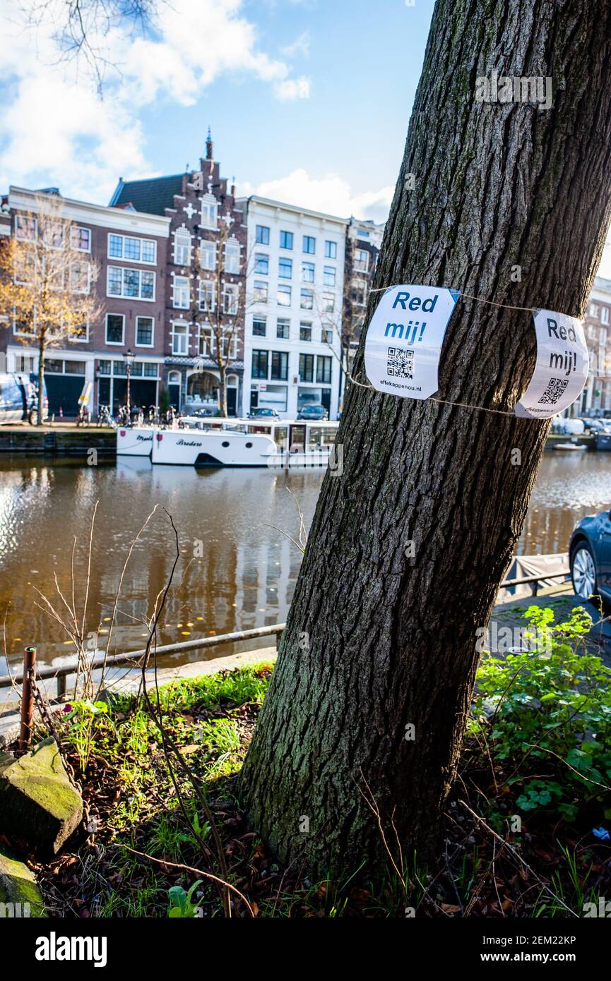 Placards on a tree says 'Save me' during the musical protest. Bert ...