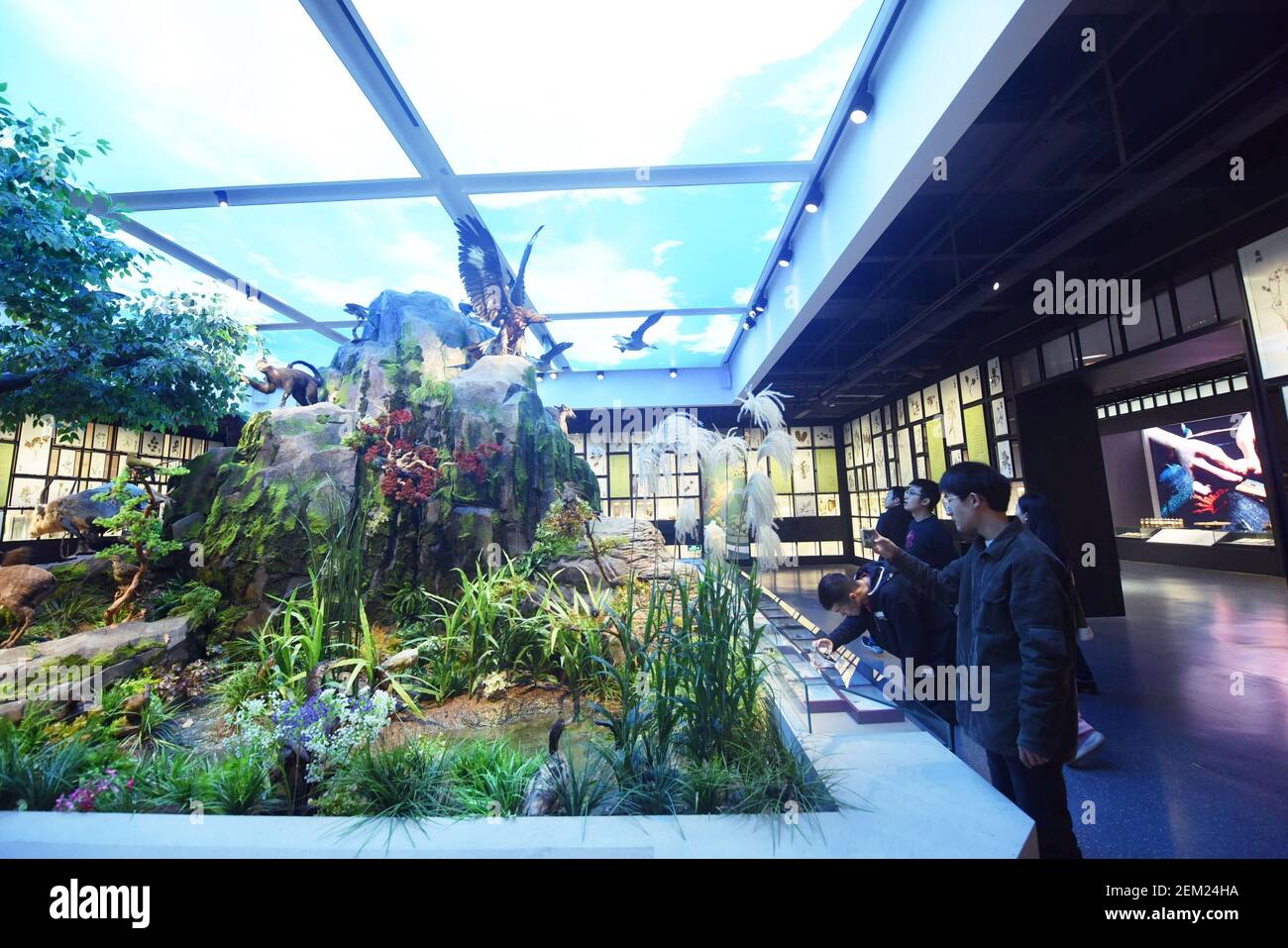 Zhejiang, CHINA-On November 25, 2020, recently, located in hangzhou ...