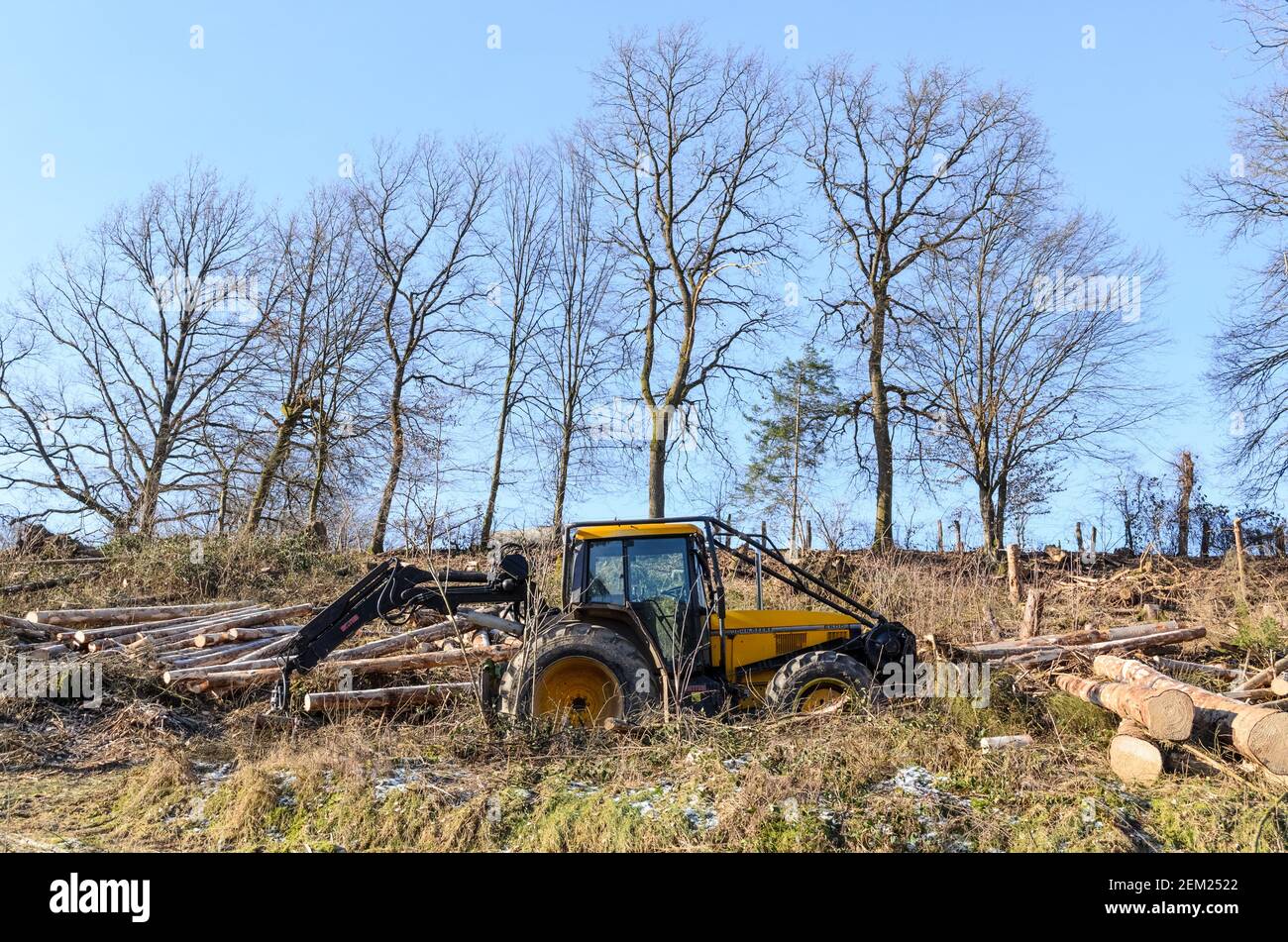 Knuckleboom log loader hi-res stock photography and images - Alamy