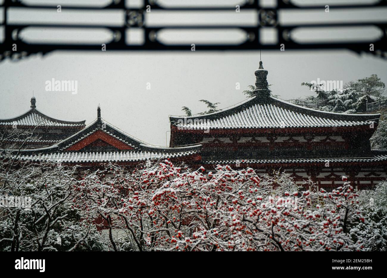 Ancient Chinese buildings and plants around the Huaqing Palace, also ...