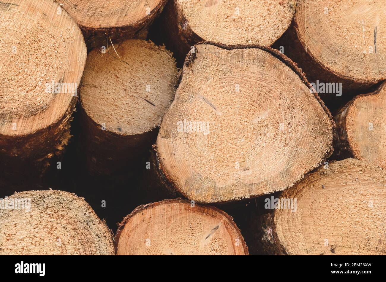 Harvest cross hi-res stock photography and images - Alamy