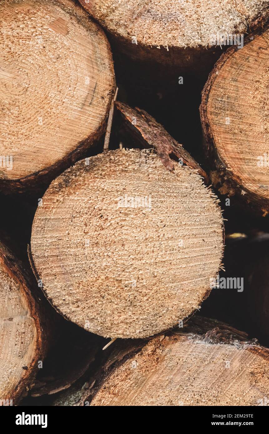 Harvest cross hi-res stock photography and images - Alamy
