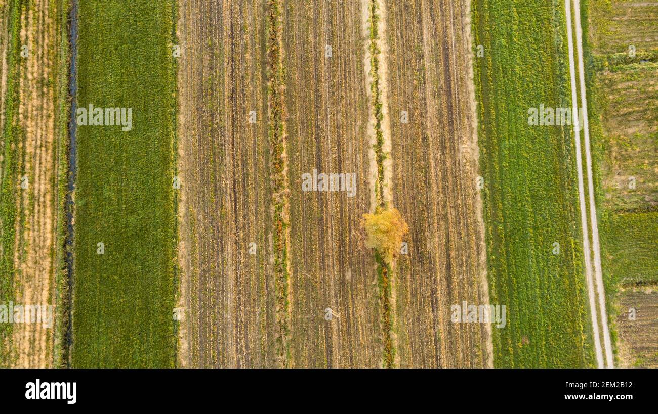 Slovenia ljubljana empty dirt hi-res stock photography and images - Alamy