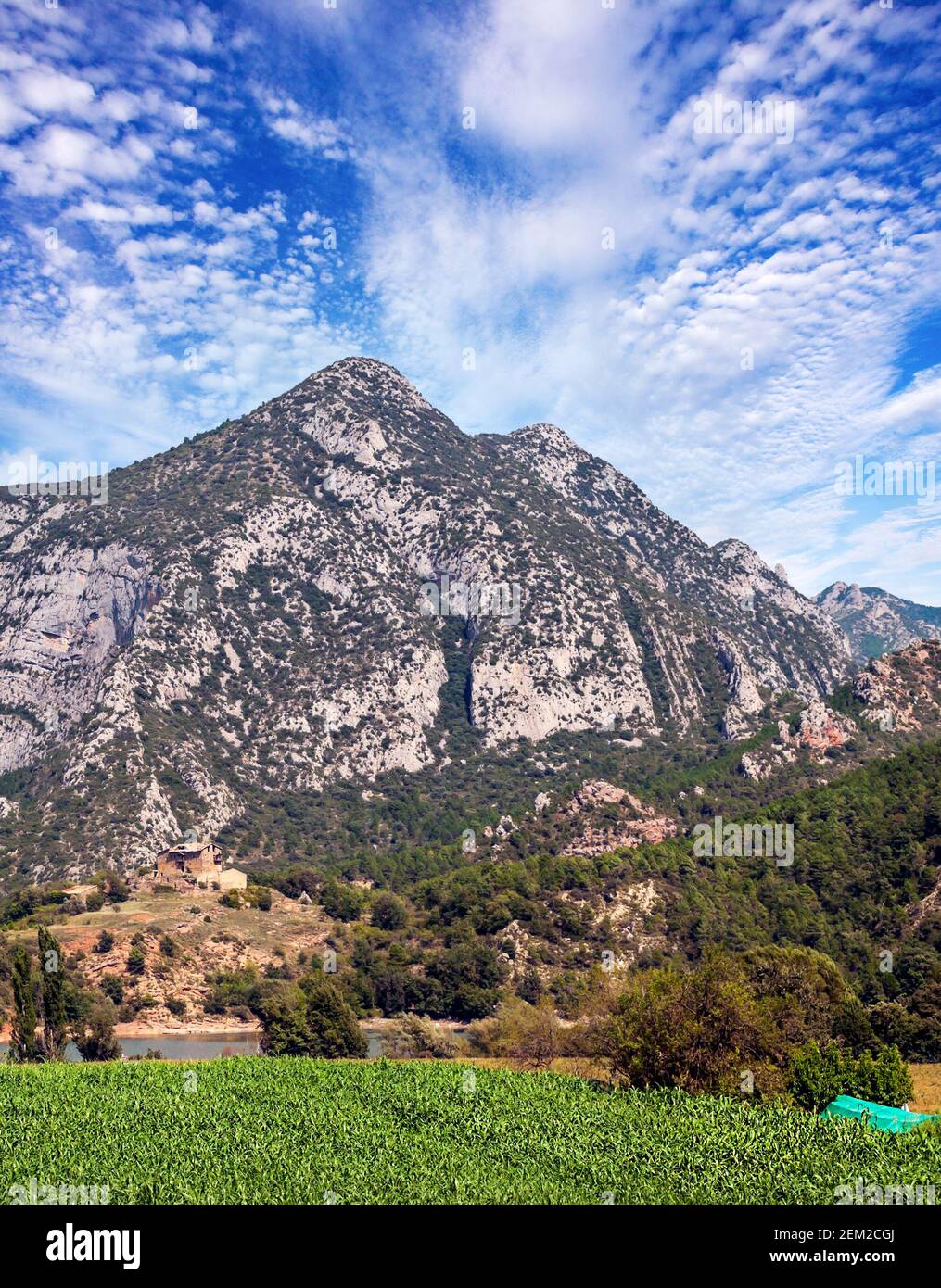 Catalonia pyrenees mountains with trees and nature landscape Stock ...