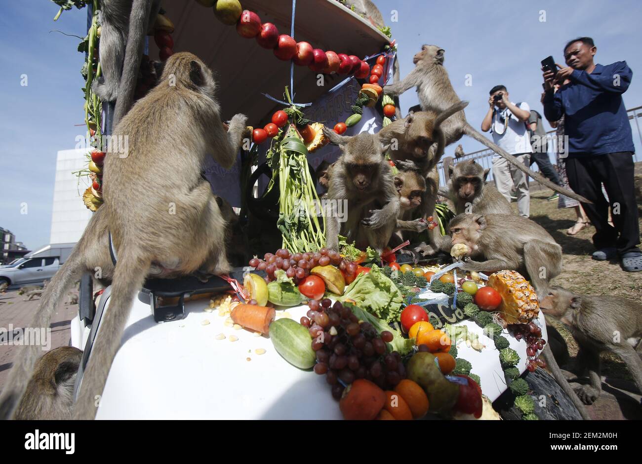 Monkeys seen eating fruits and vegetables during the 32nd annual Monkey ...