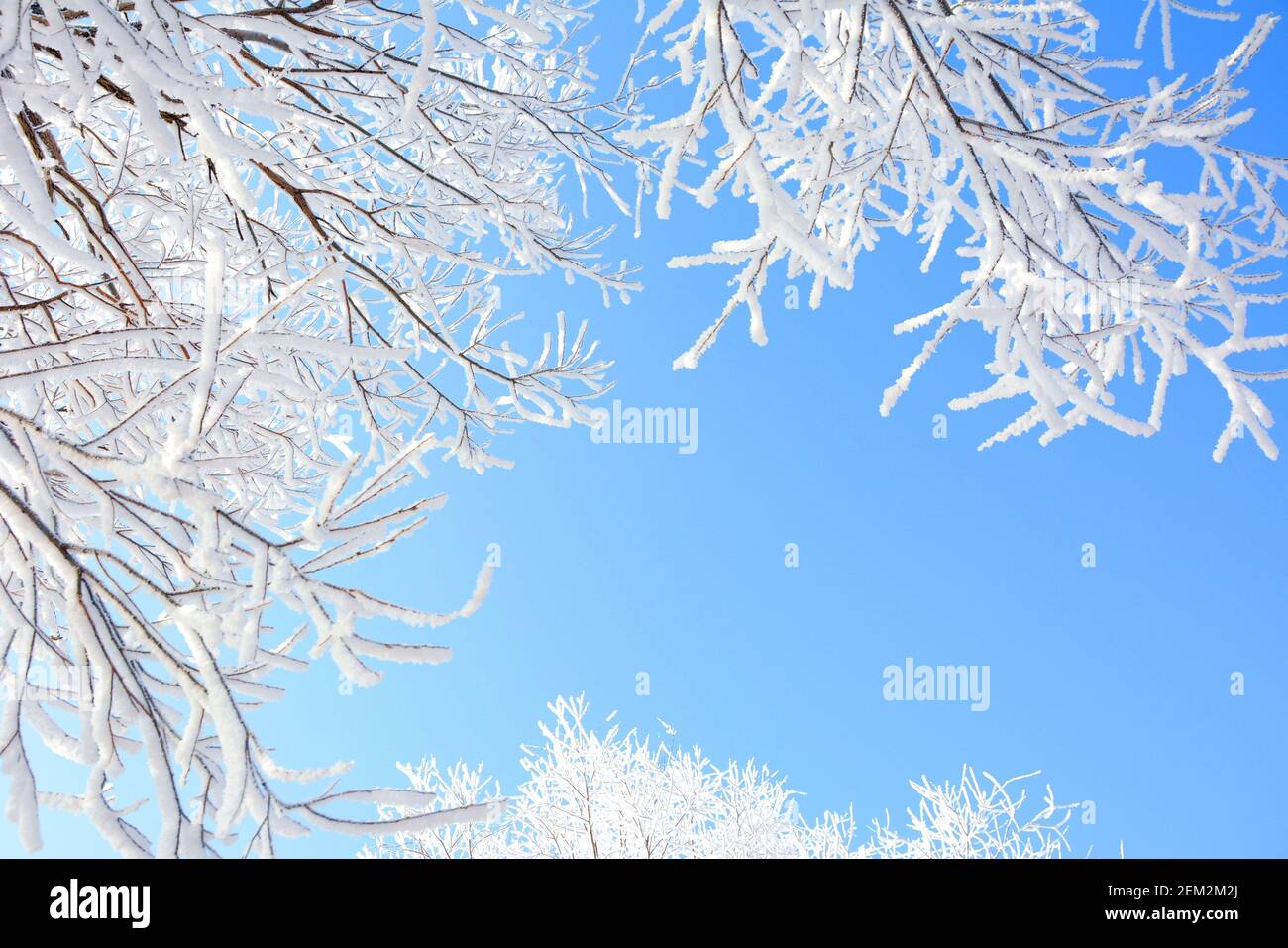 JILIN, CHINA - NOVEMBER 29, 2020 - Tourists view the rime landscape ...