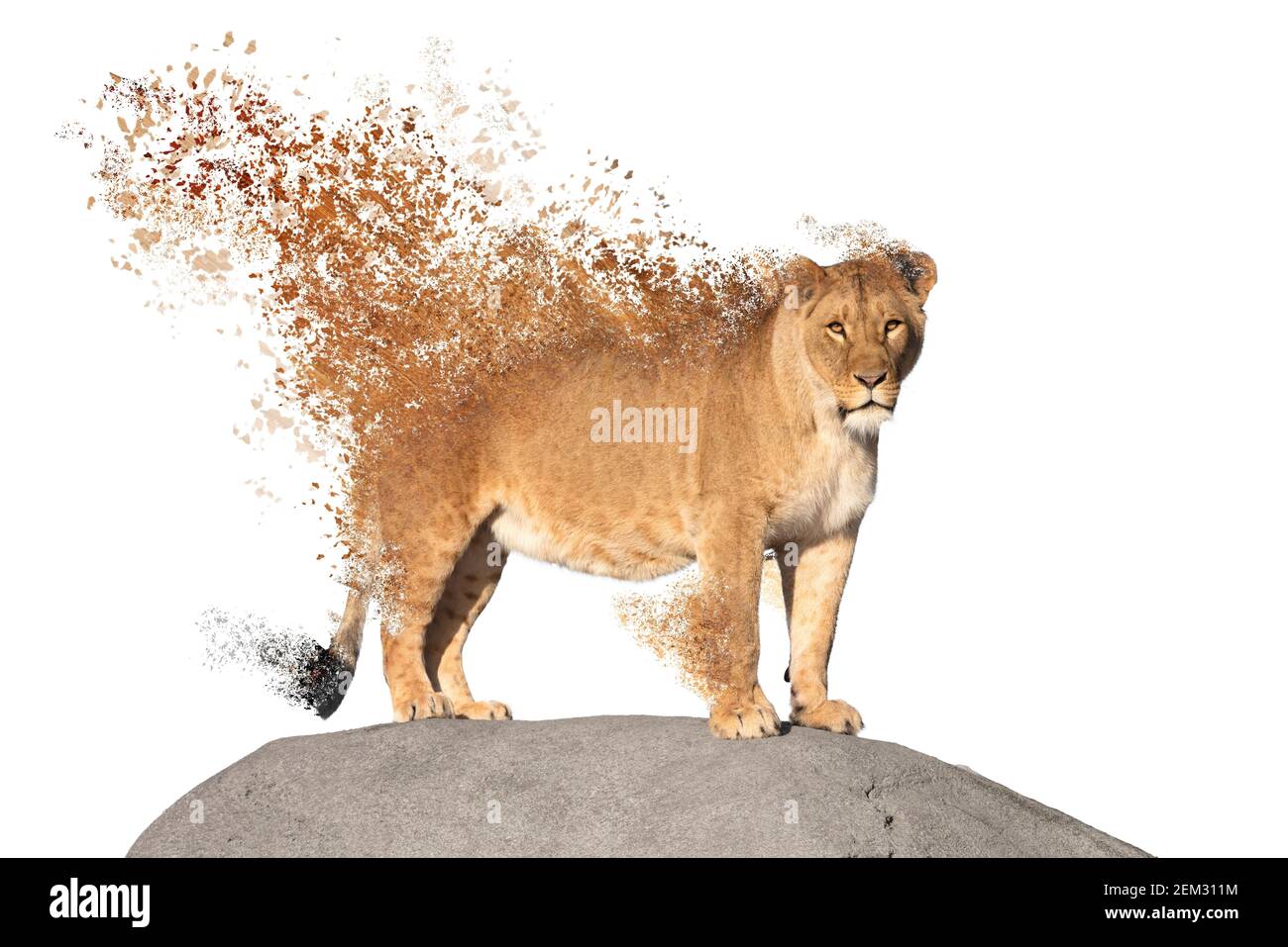 Dispersión animal hi-res stock photography and images - Alamy