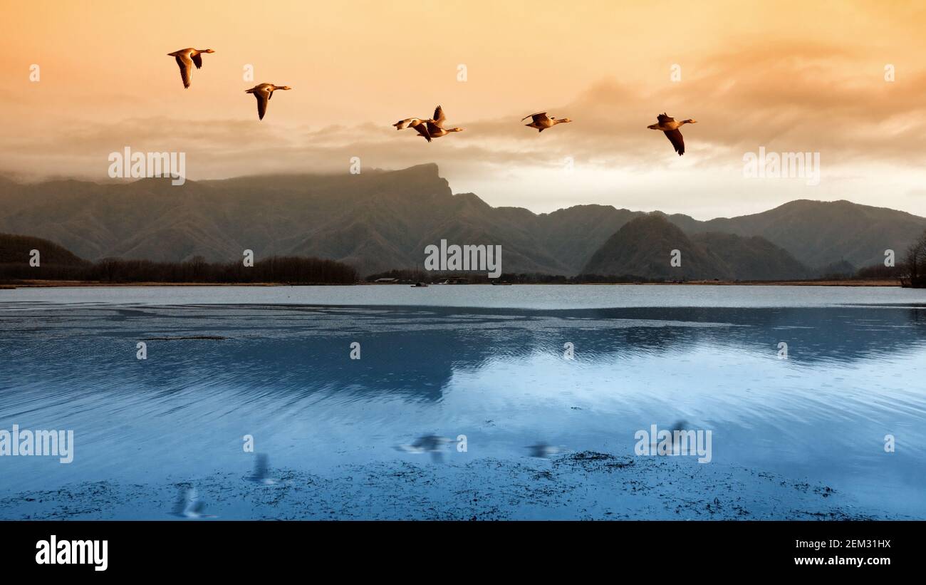 Hubei, CHINA-Shennongjia, Hubei province, Nov. 30, 2020. Shennongjia is ...