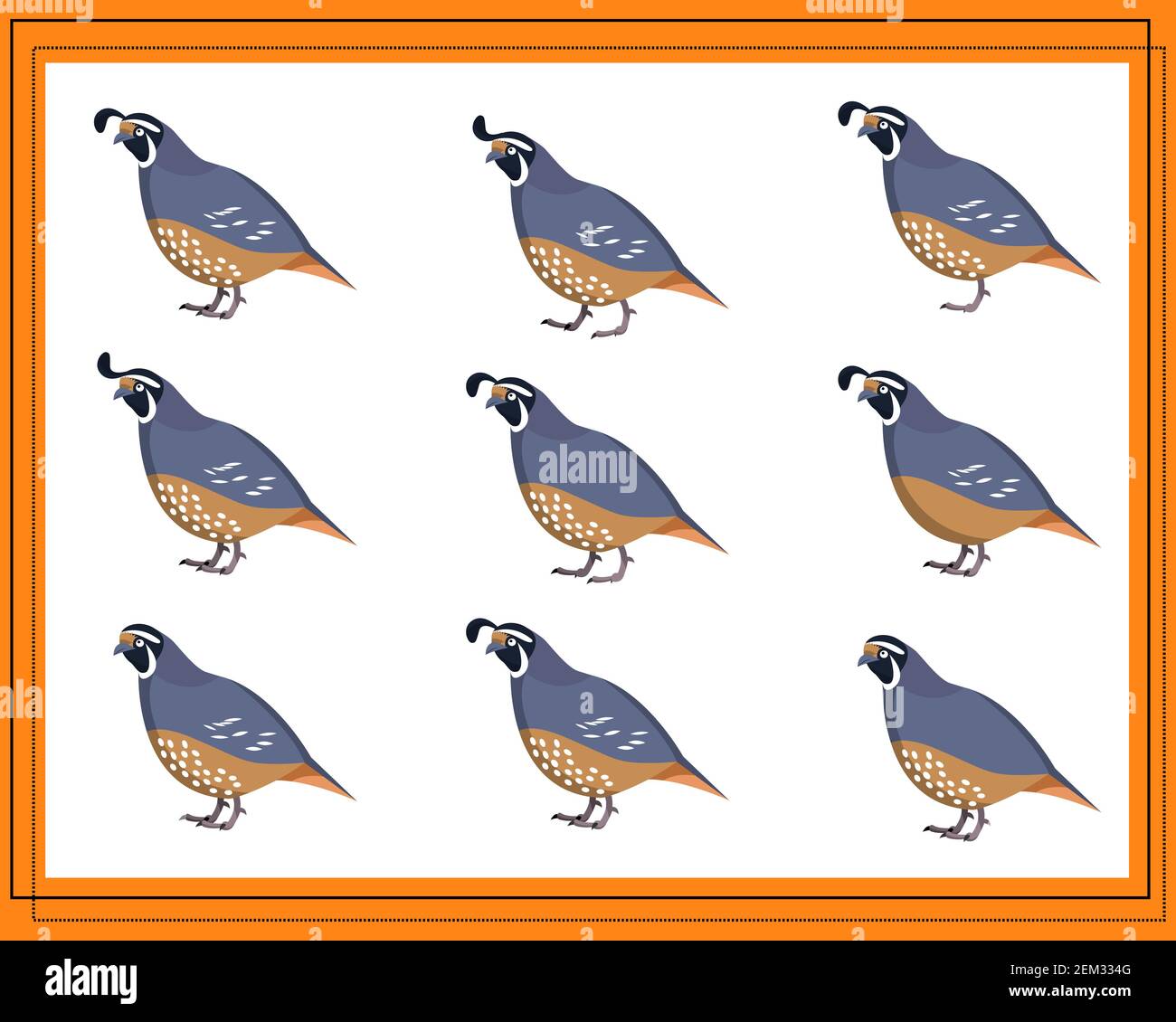 Game for kids find two identical pictures. Find two identical quails ...
