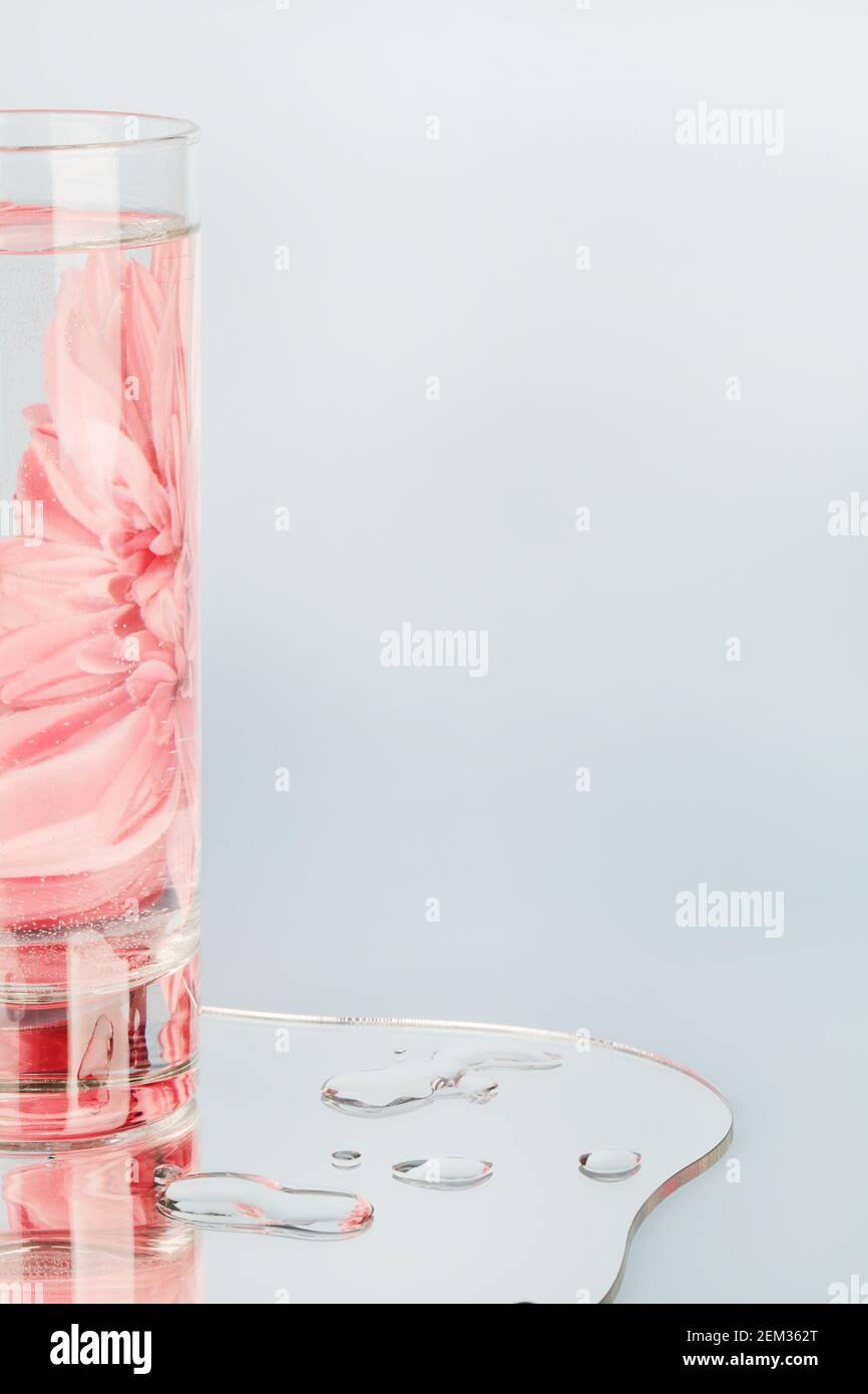 pink flowers distorted through water in glass with mirror on blue ...